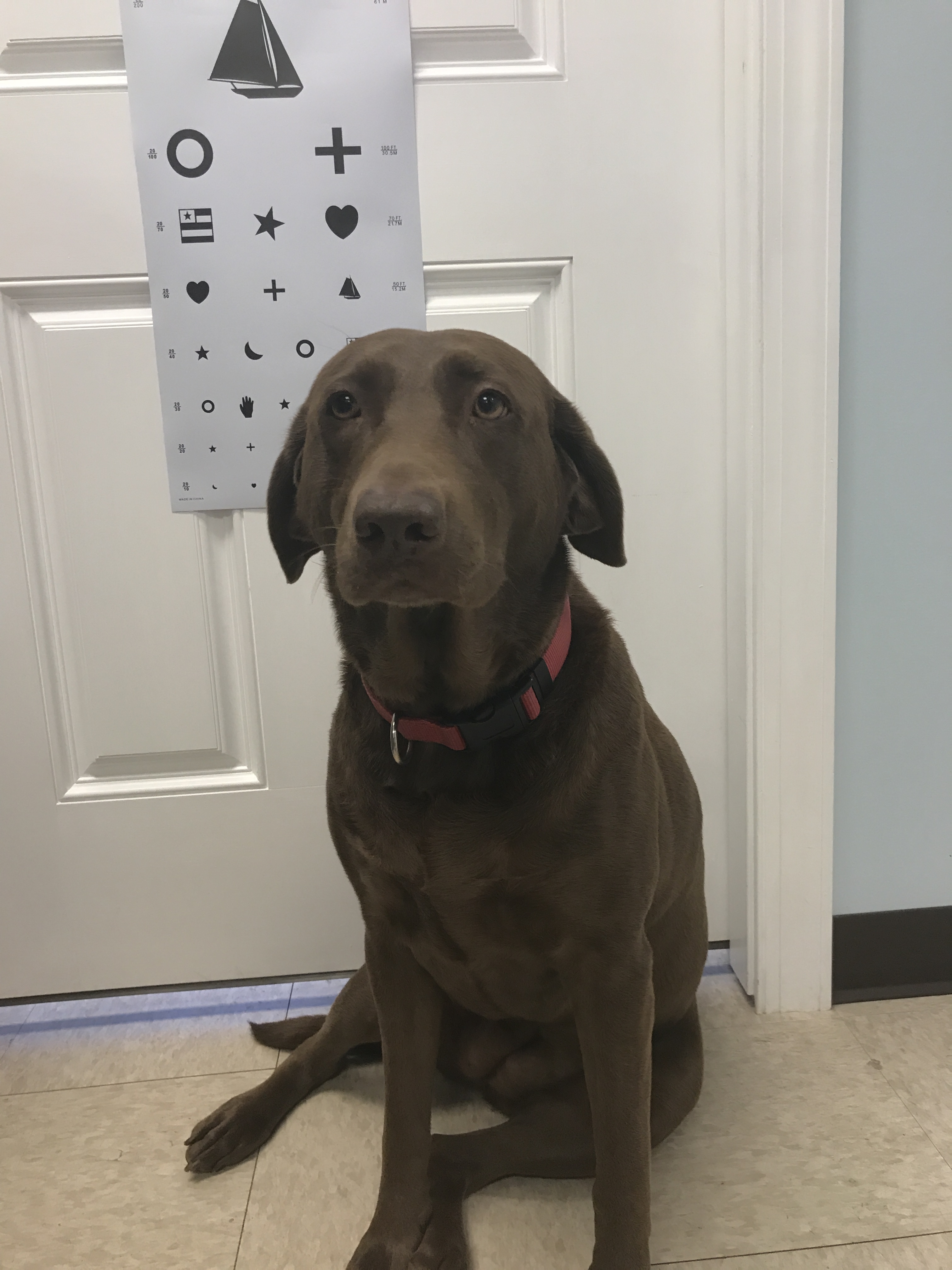 About Us – Pizer Family Practice, PLLC